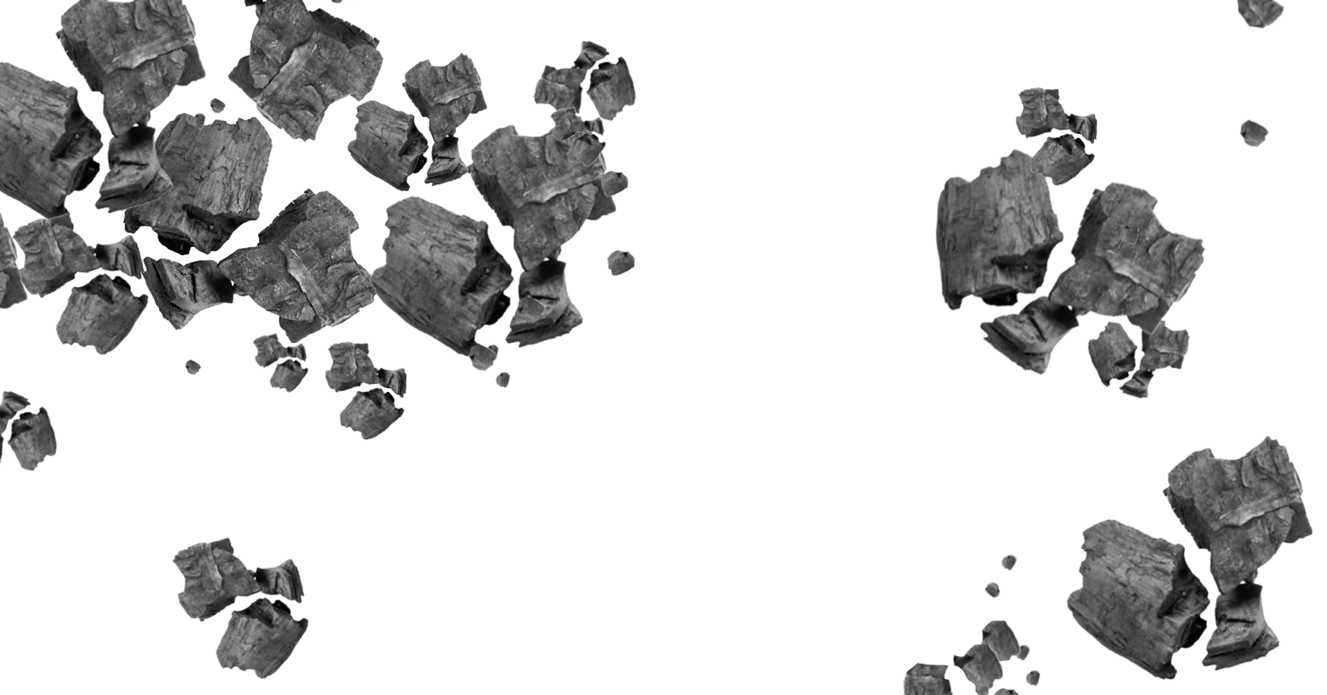 Holzkohle (Carbo vegetabilis) | Dr. Loges