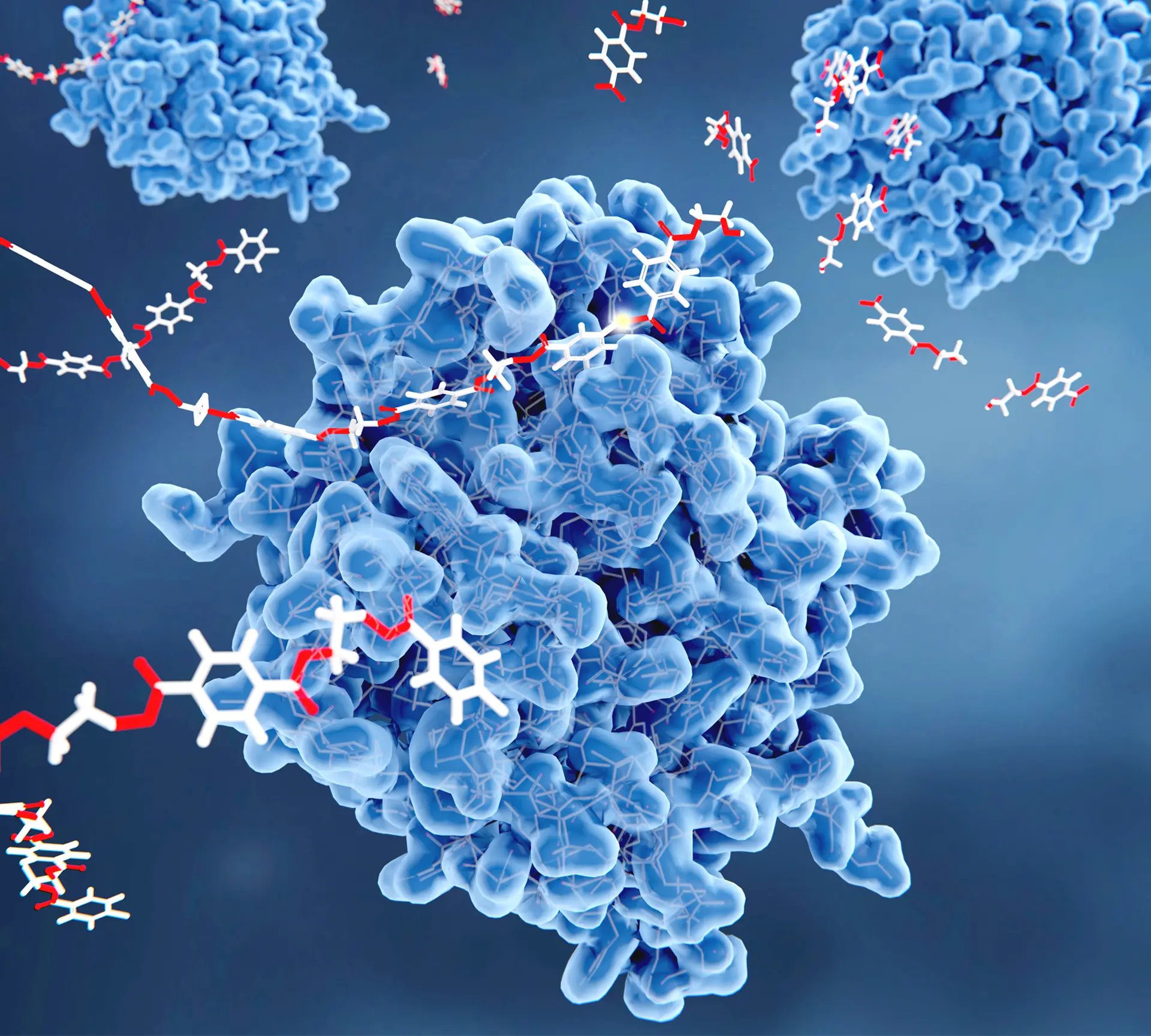 flexiLoges® Knorpel aktiv | Dr. Loges